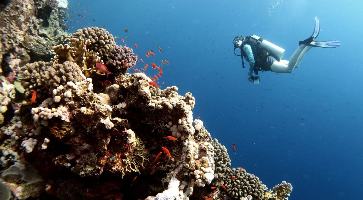 Buoyancy And Trim - Your Guide For Best Scuba Diving Experience ...