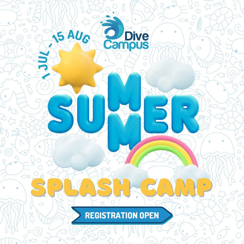 Beginner Courses - Discover Scuba Diving Dubai With Padi Programs. — divecampus