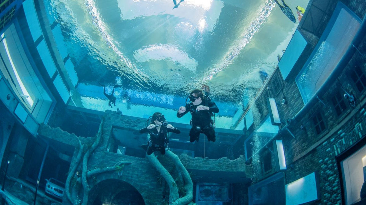 Guided Deep Dive Dubai Book Now — Divecampus