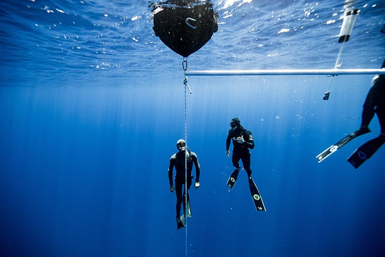 Freediving Courses - Discover Scuba Diving Dubai With Padi Programs — divecampus